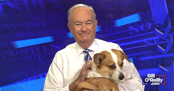 2020: A Year In Review, War On Christmas, and Hello Holly! - No Spin ...